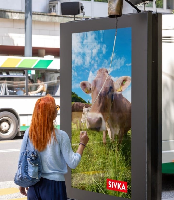 Krava Liska spomnila Ljubljančane na pomen svežih in