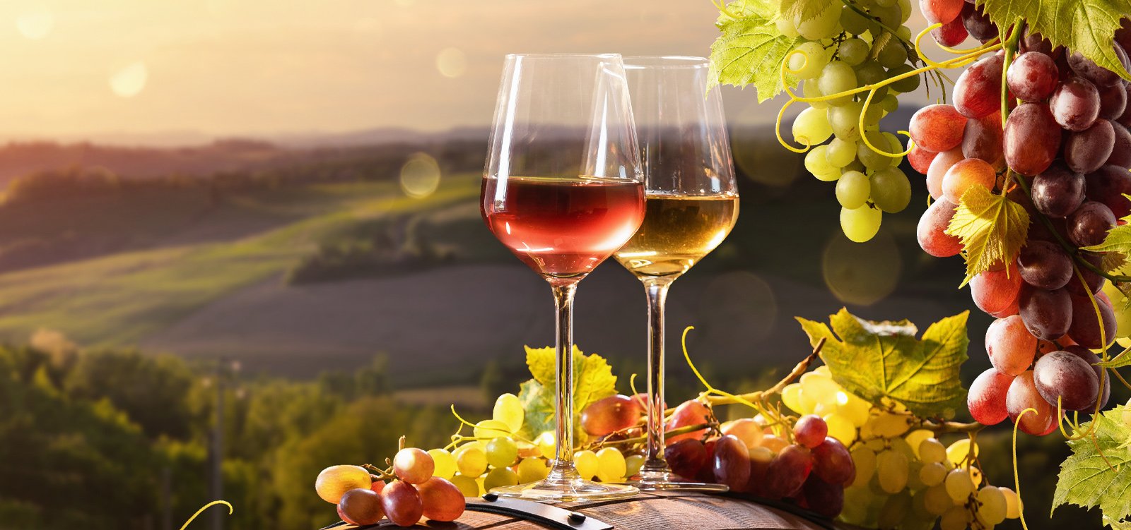 VINO - sonce v steklenici | SPAR SI