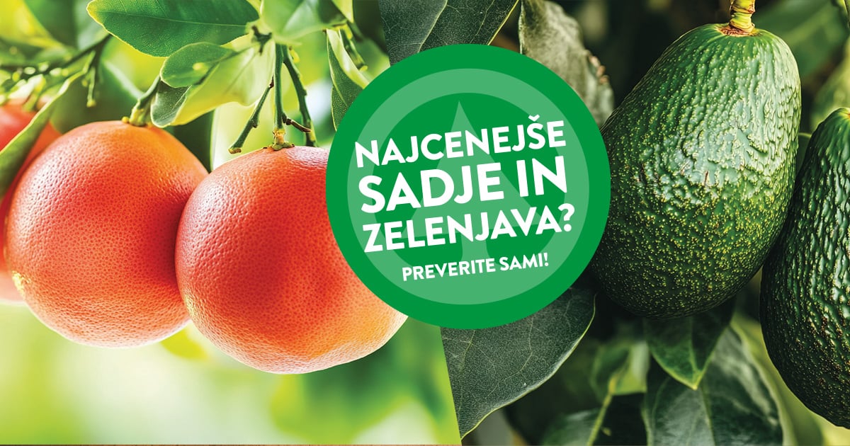 NAJCENEJŠE SADJE IN ZELENJAVA? PREVERITE SAMI! | SPAR SI