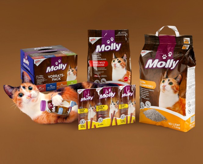 Molly | SPAR SI