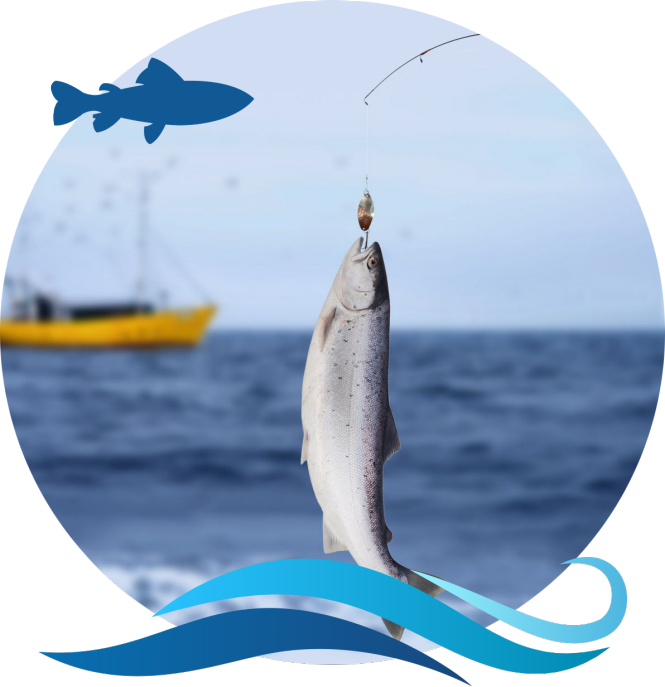 Sparova ribarnica | Recepti, ideje in nasveti | SPAR SI